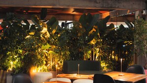 Restaurante com chão quadriculado, cadeiras e mesas pretas e brancas. Há plantas e teto de madeira.