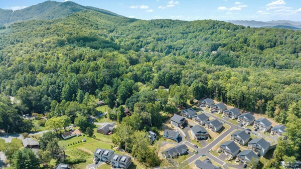 Little Sycamore By Avantstay Premier Location + Patio - Asheville, NC