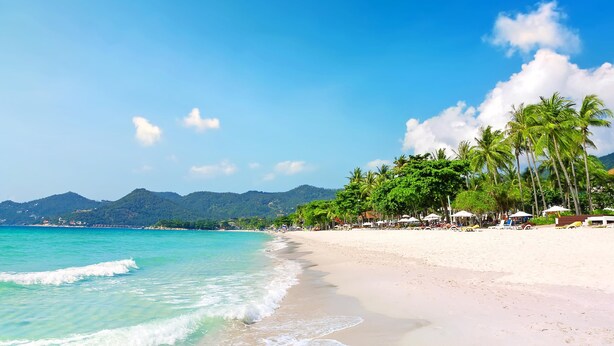 Uma praia com águas turquesa cristalinas, palmeiras e uma cordilheira ao fundo.