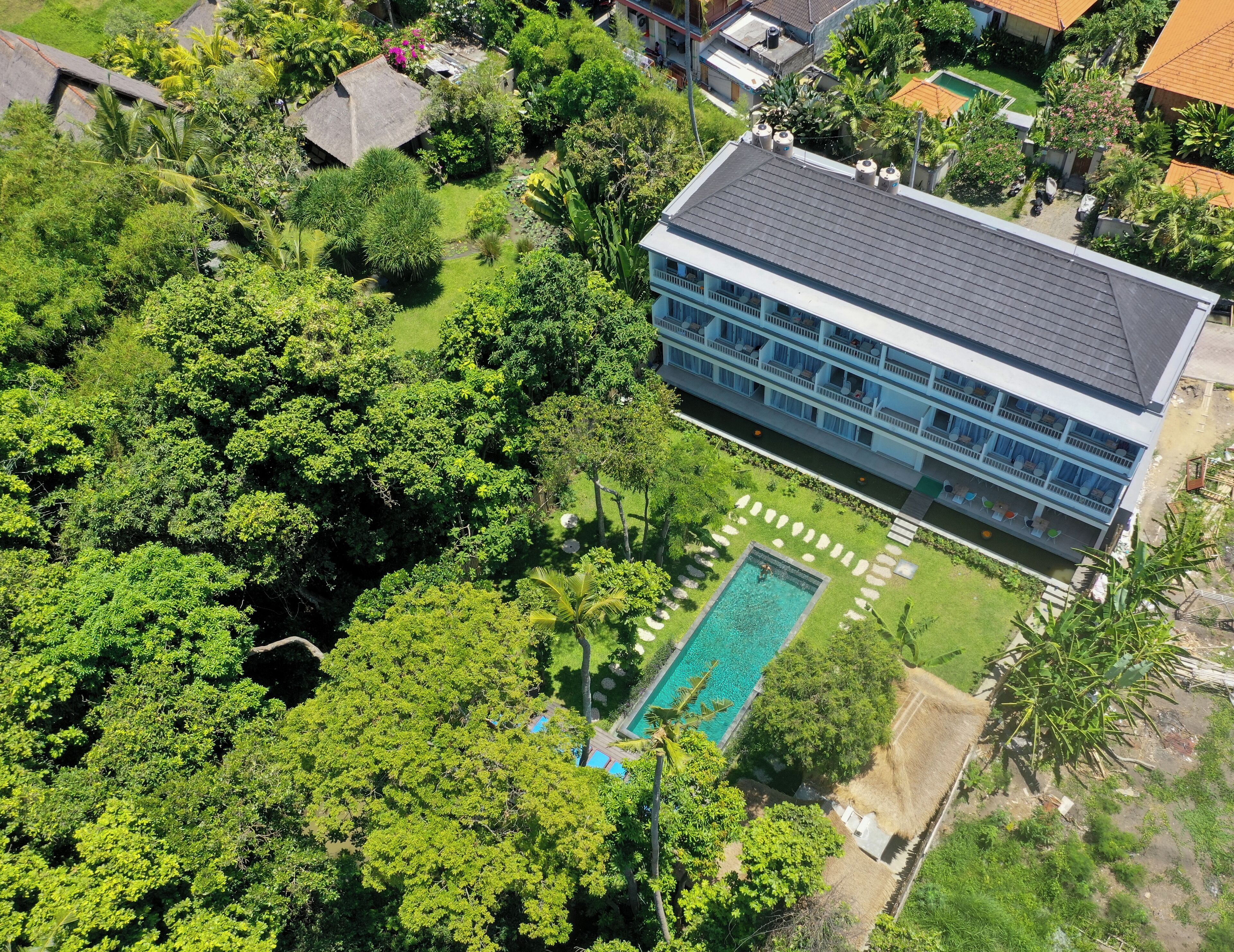 Jardim