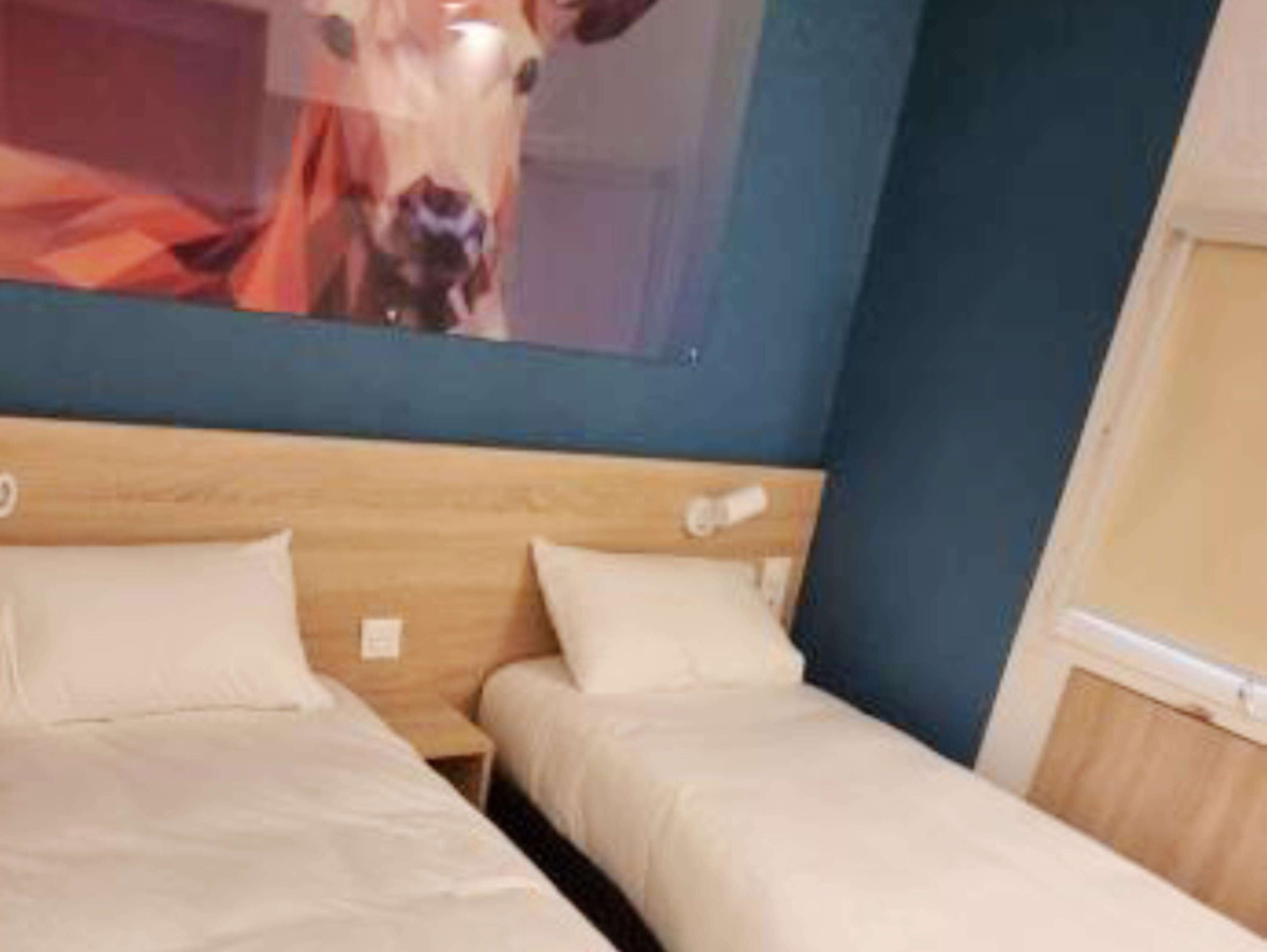 Quarto com duas camas, uma cabeceira de madeira e uma televisão na parede exibindo uma vaca.