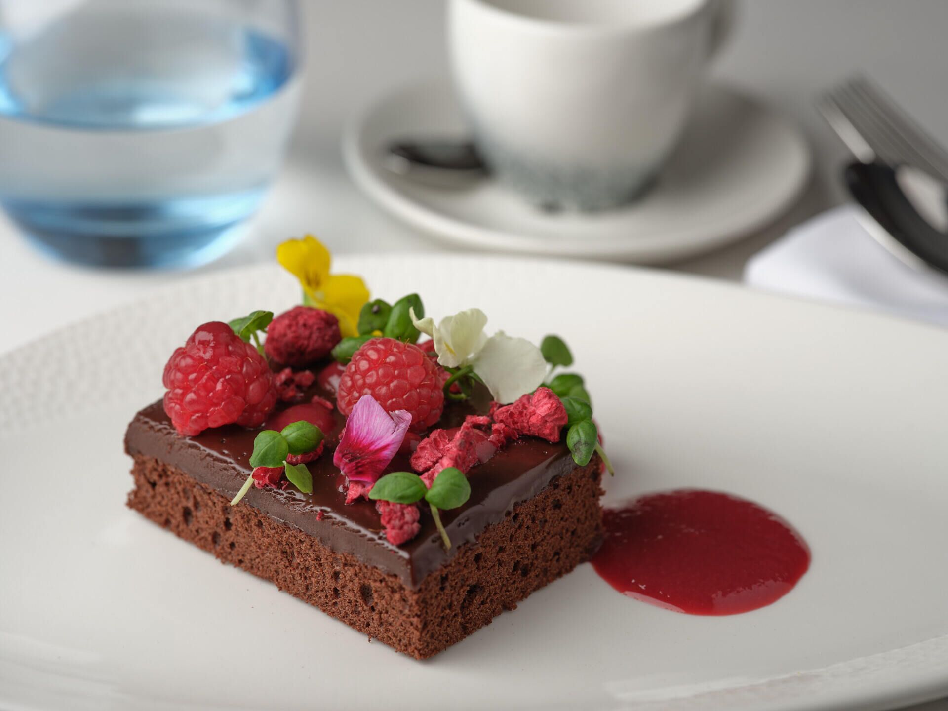 Uma sobremesa em um prato branco, com base de chocolate, coberta com framboesas e uma flor, e um molho vermelho ao lado.