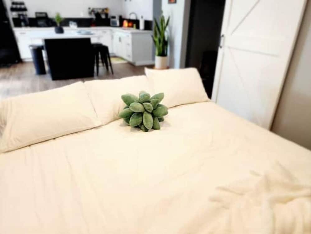 New & Private, Central Location, Pet Friendly - Grand Canyon University, Phoenix