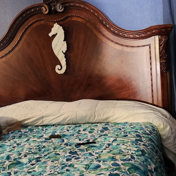 Country Home Rustic. Beach,hiking Nearby <Br>3 Rooms Ramp . - Washington