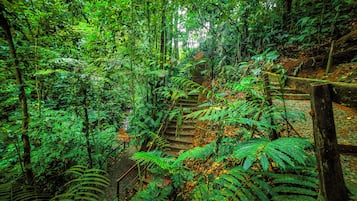 Caminhada