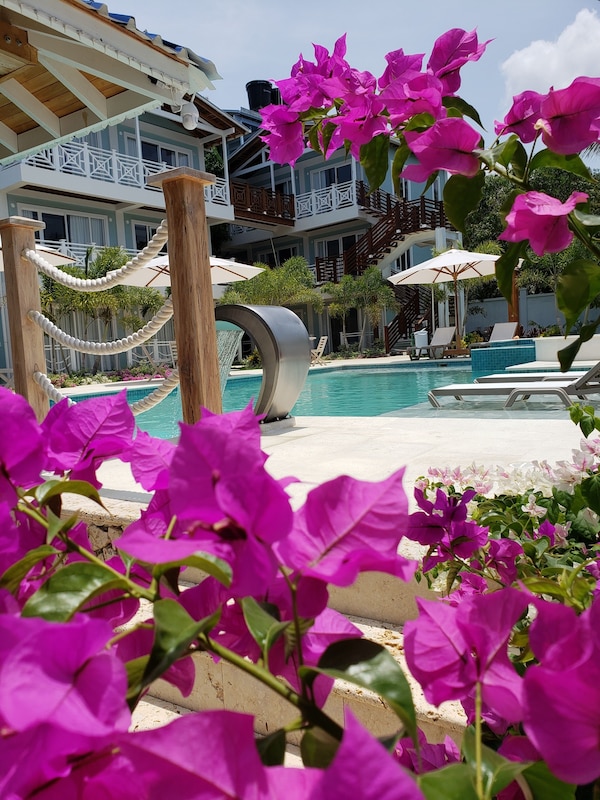 Hotel Oasis Tolu Boutique - Santiago de Tolú