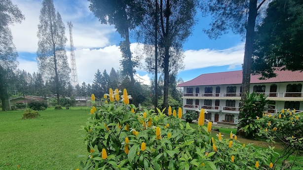 Um jardim exuberante com flores amarelas, um edifício com telhado vermelho e árvores altas ao fundo.