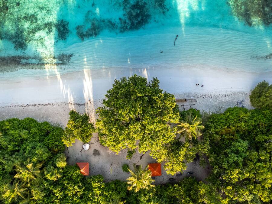 Na praia, praia de areia branca, mergulho, snorkel