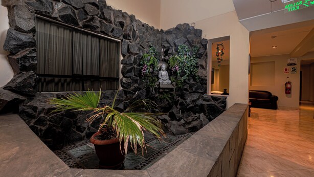Uma área de recepção com parede de pedra, uma estátua de Buda e um vaso de planta.