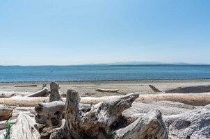 Casa (1 Bedroom) | Interior