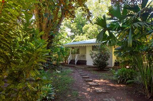 Apartamento Clássico | Terraço/pátio interior