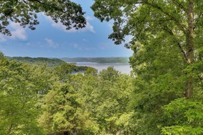 Uma floresta densa com um lago ao fundo.
