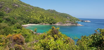 Paisagem costeira com praia, águas turquesa cristalinas e vegetação verde exuberante.