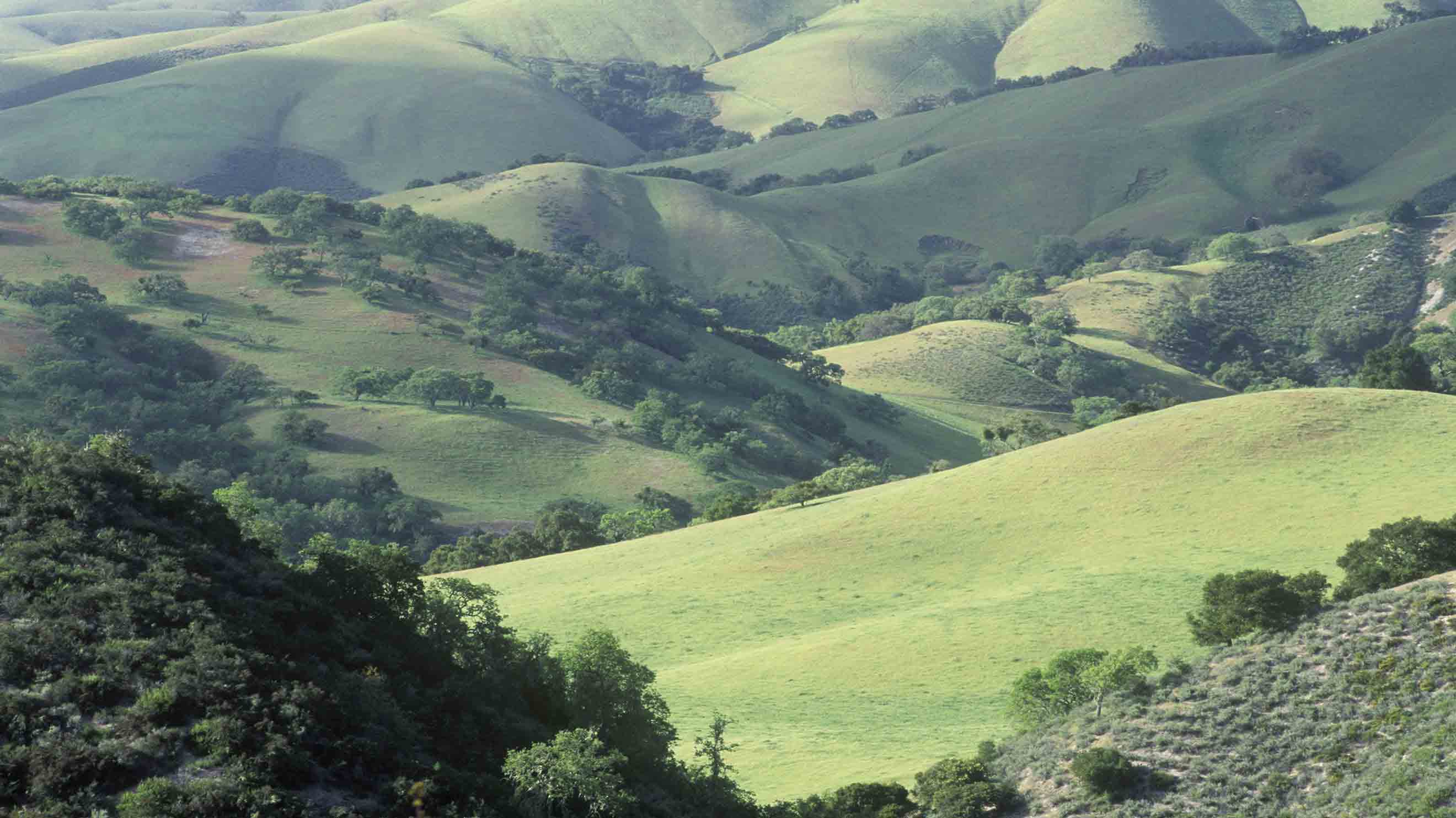 10 TOP Things To Do In Carmel CA 2021 Attraction Activity Guide 10-top-things-to-do-in-carmel-ca-2021-attraction-activity-guide