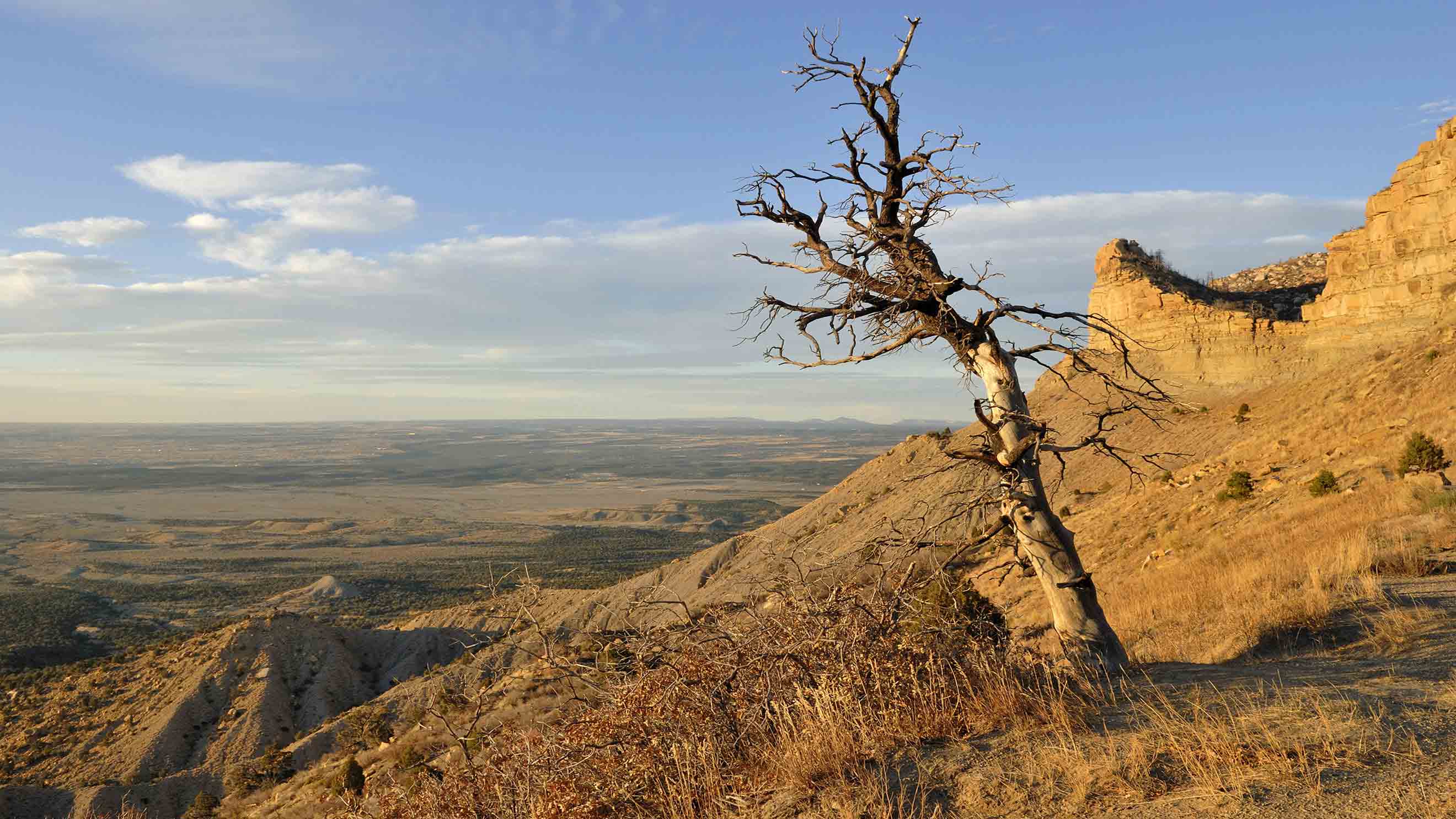 10 TOP Things to Do in Cortez, CO (2021 Attraction & Activity Guide ...