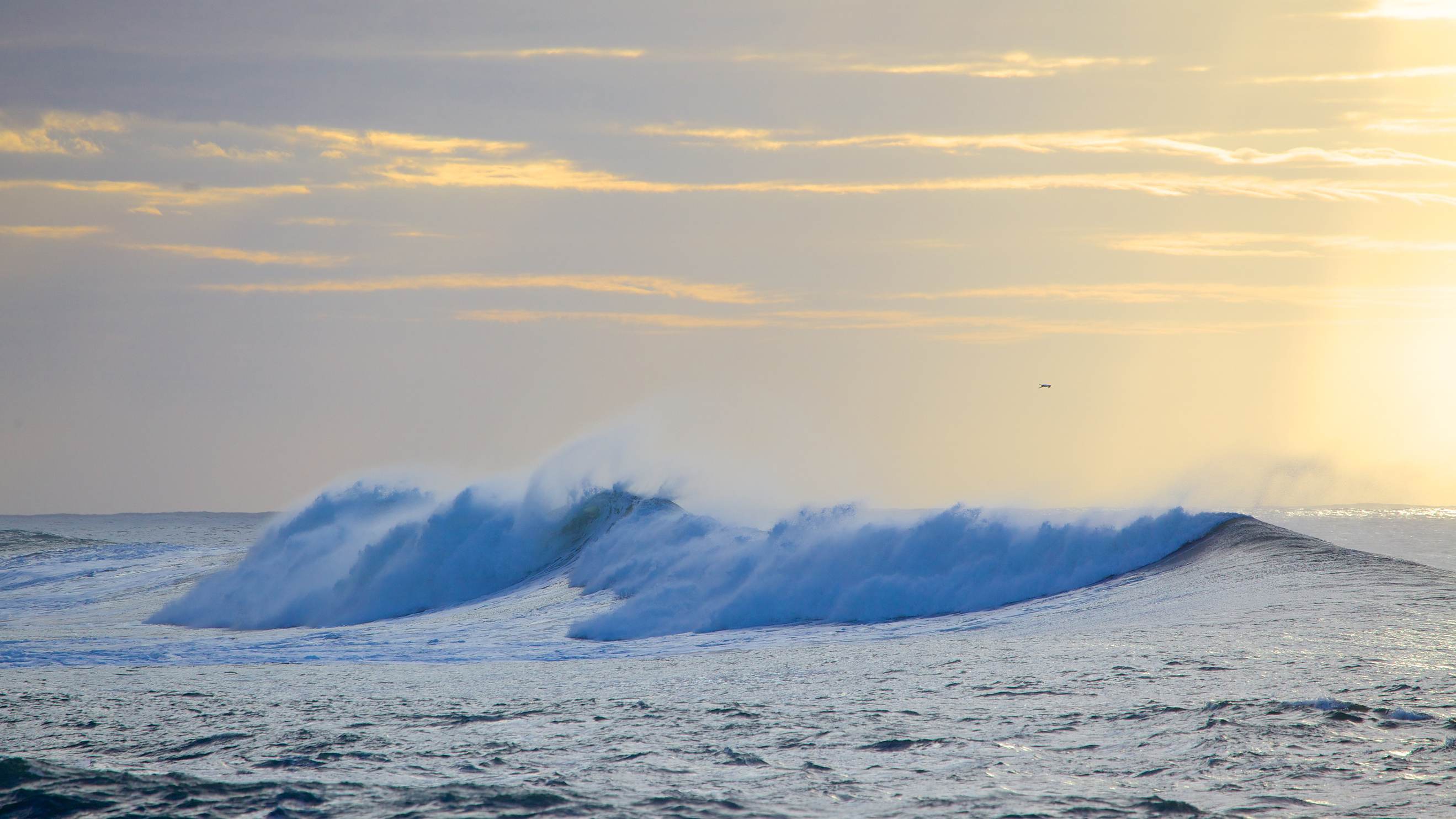 10 TOP Things to Do in Eastern Cape (2021 Attraction & Activity Guide ...