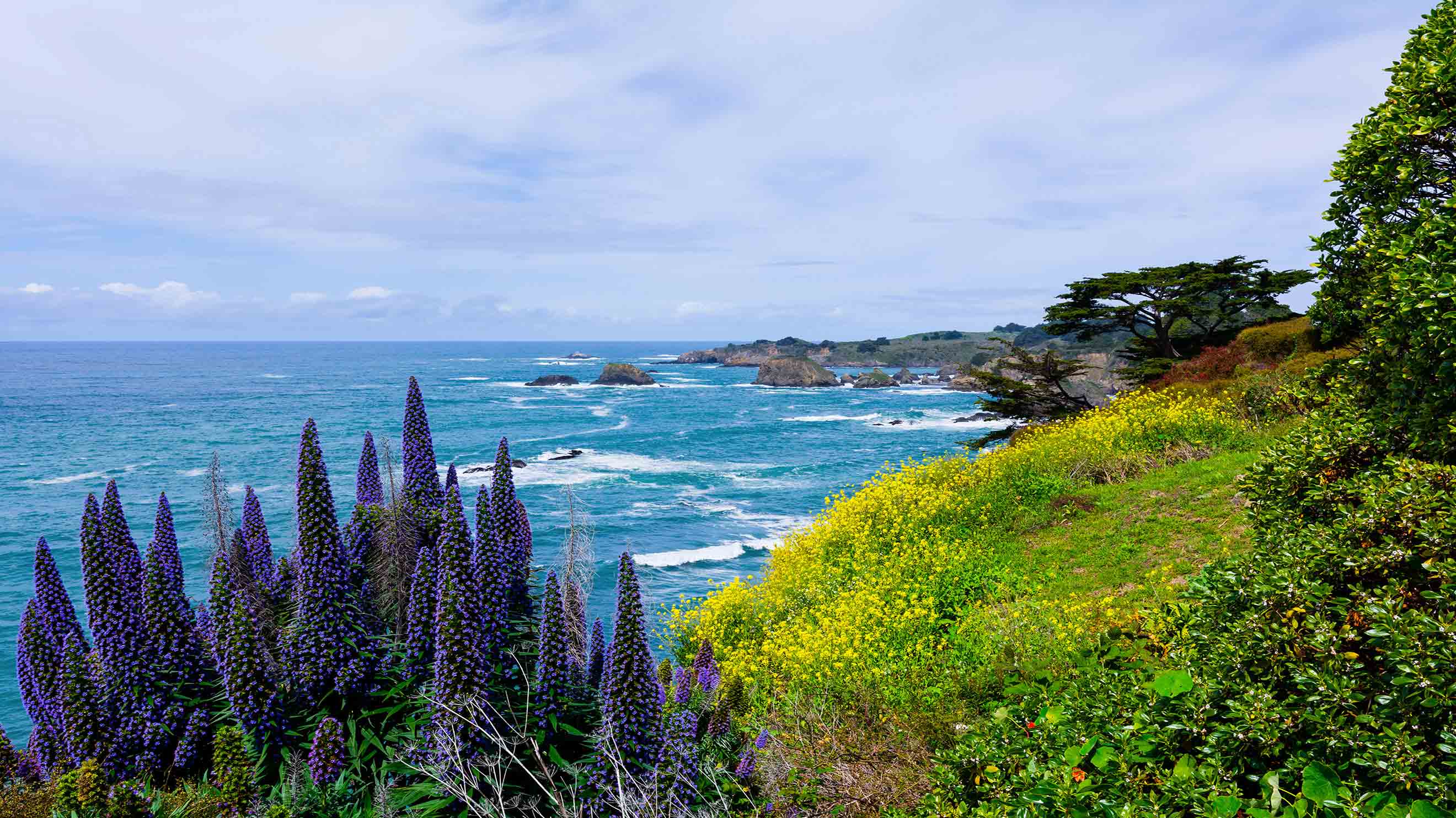 The 10 Best Hotels in Mendocino Coast, California $49 for 2019 | Expedia
