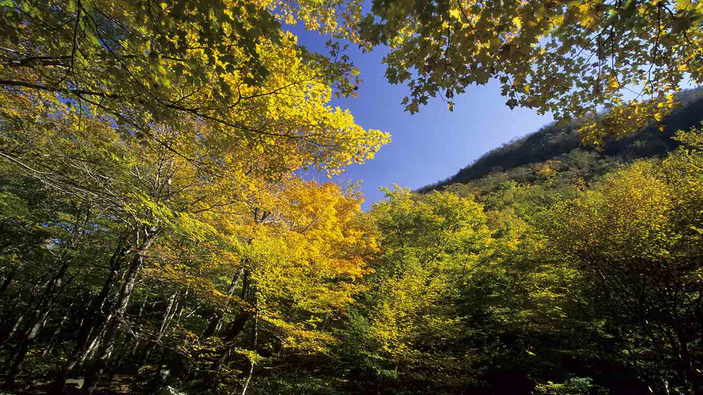 Cheap Flights to Mount Laurel, New Jersey $133.80 in 2017 | Expedia