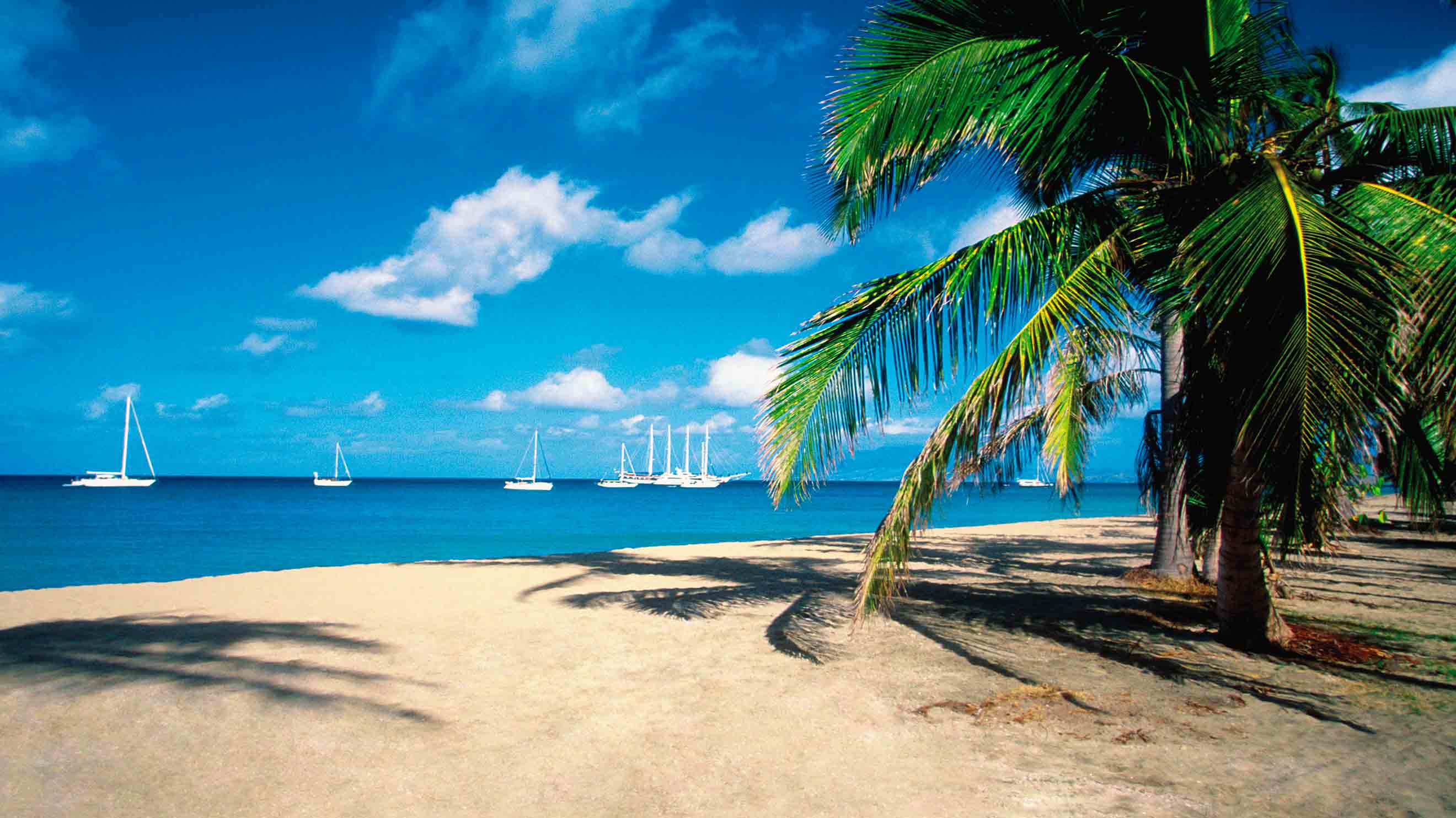 Nevis Vacations | Vacation Packages & Trips 2020 | Expedia