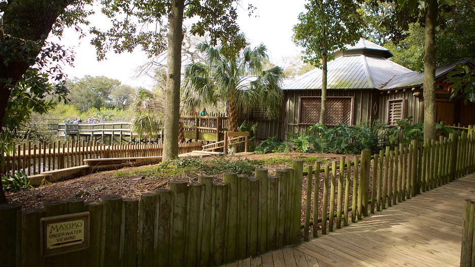 St. Augustine Alligator Farm Zoological Park in St. Augustine, Florida ...