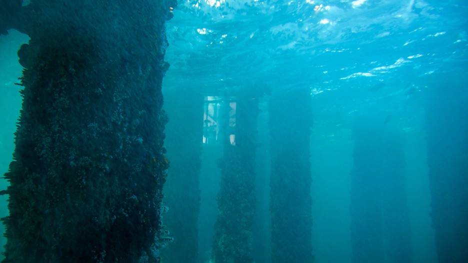 Busselton Jetty Underwater Observatory in Busselton, Western Australia ...