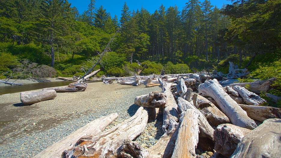 Ruby Beach in Forks, Washington | Expedia