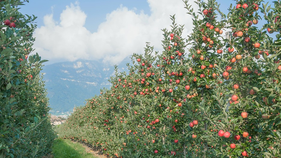 Merano Holidays - Book Cheap Holidays to Merano and Merano City Breaks