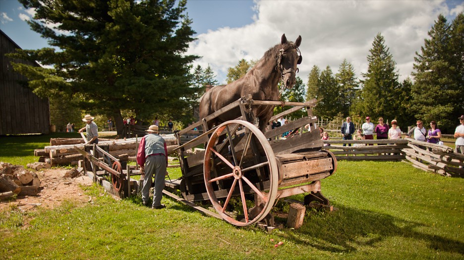 New Brunswick Vacations 2017: Explore Cheap Vacation Packages | Expedia