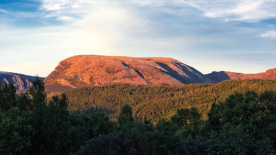 Vakantie Newfoundland en Labrador | Voordelig op reis met Expedia.nl