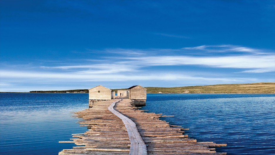 Newfoundland and Labrador Vacation Packages: Find Cheap Vacations to ...