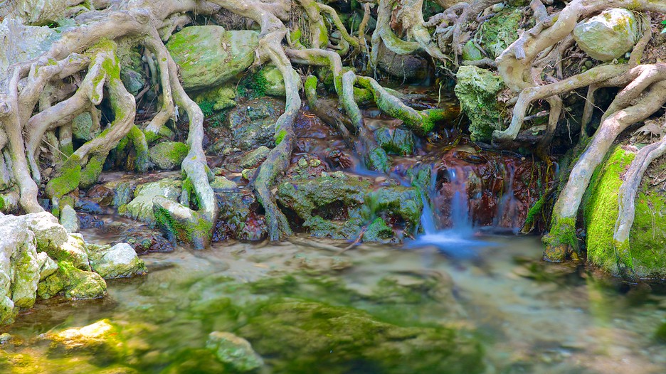 Seven Springs in Rhodes, | Expedia