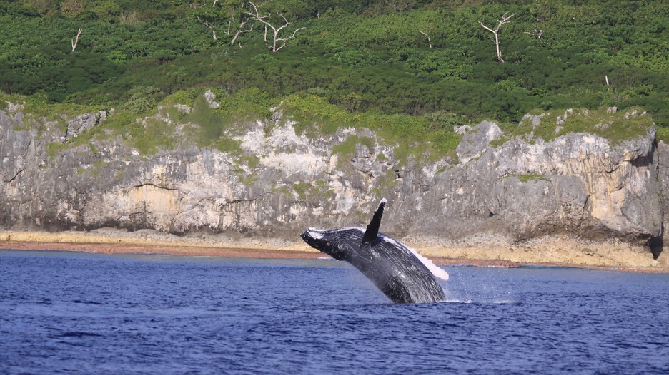 Niue Vacations 2017: Explore Cheap Vacation Packages | Expedia