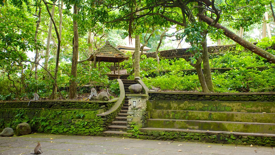 Ubud JungleKey in Image Ubud JungleKey in Image