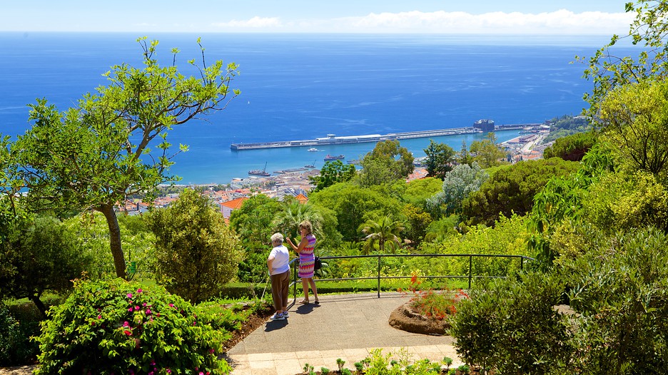 Funchal Vacations 2017: Package & Save up to $603 | Expedia