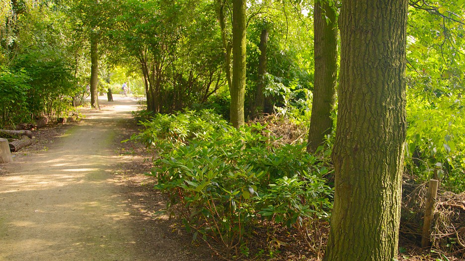 Netherlands Vacations 2017: Explore Cheap Vacation Packages | Expedia