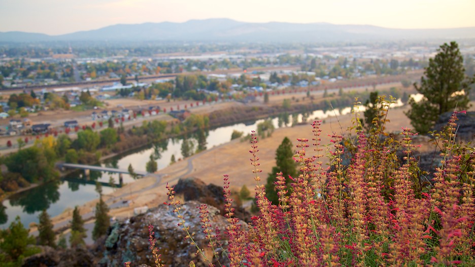Arbor Crest Wine Cellars in Spokane, Washington | Expedia