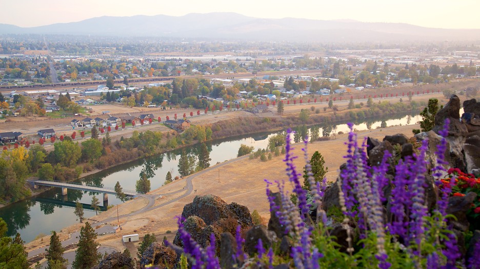 Arbor Crest Wine Cellars in Spokane, Washington | Expedia