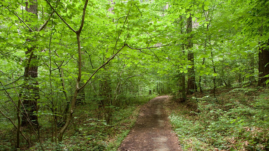 Romania Vacations 2017: Explore Cheap Vacation Packages | Expedia