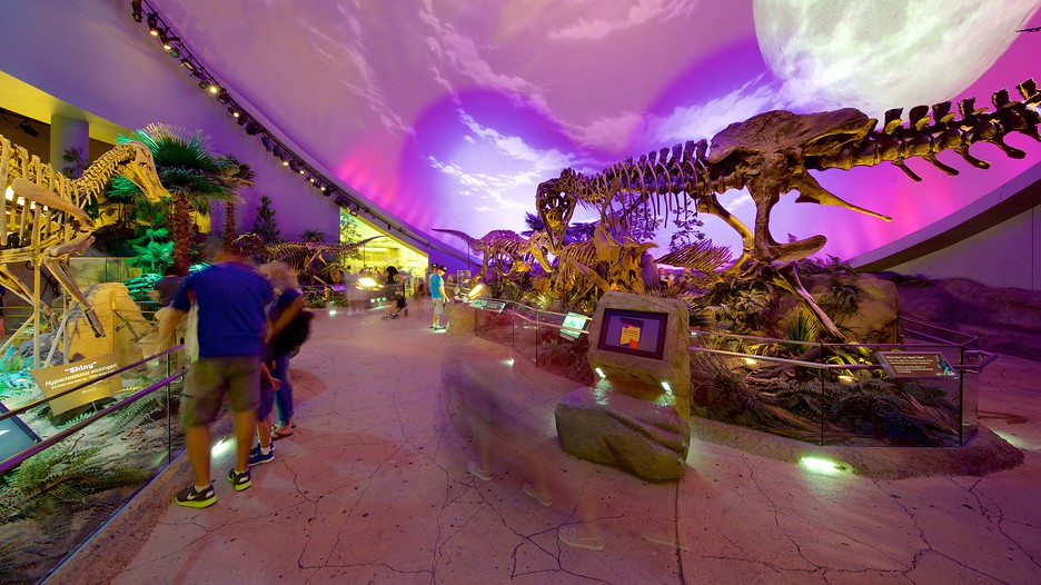 Children's Museum of Indianapolis in Indianapolis, Indiana | Expedia