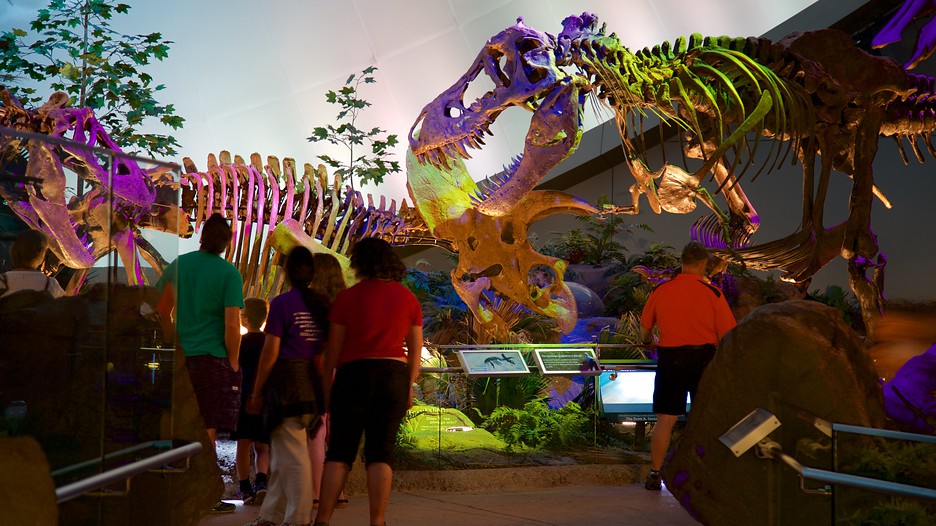 Children's Museum of Indianapolis in Indianapolis, Indiana | Expedia