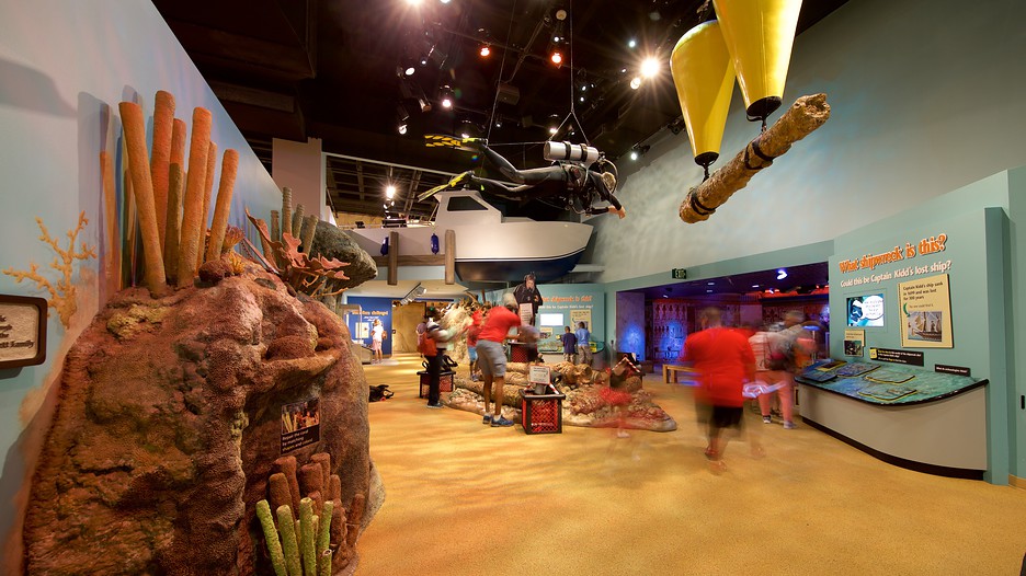 Children's Museum of Indianapolis in Indianapolis, Indiana | Expedia