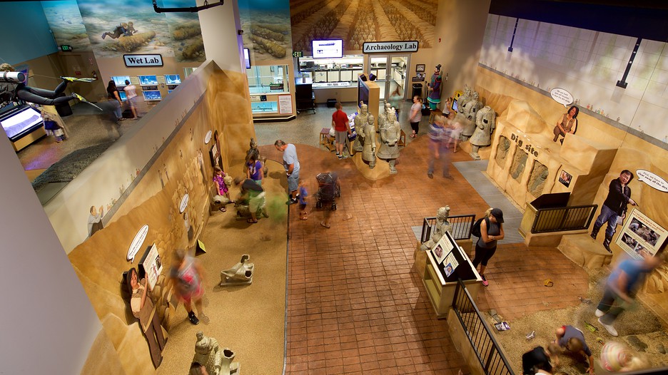 Children's Museum of Indianapolis in Indianapolis, Indiana | Expedia