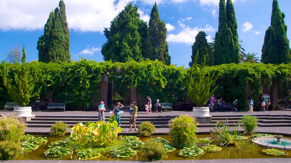 Vacances à Auckland - Réservez votre séjour sur Expedia.fr