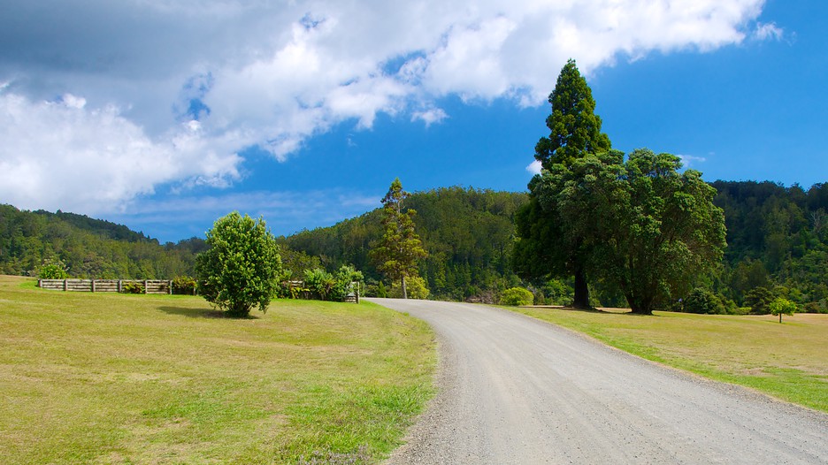 Waitakere Ranges in Auckland, | Expedia