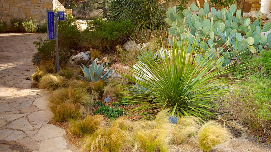 Lady Bird Johnson Wildflower Center in Austin, Texas | Expedia