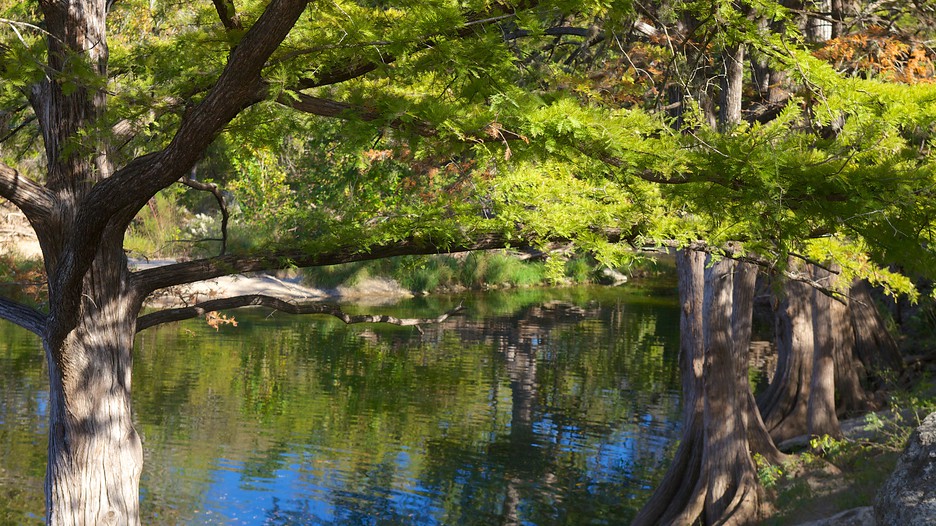 McKinney Falls State Park in Austin, Texas | Expedia