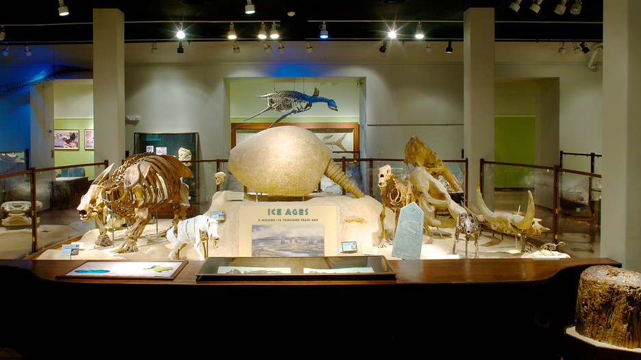 Texas Memorial Museum in Austin, Texas | Expedia