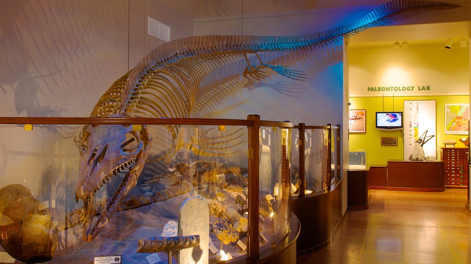 Texas Memorial Museum in Austin, Texas | Expedia