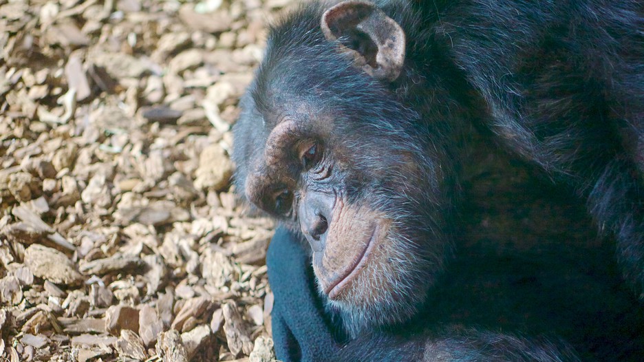 Maryland Zoo in Baltimore, Maryland | Expedia