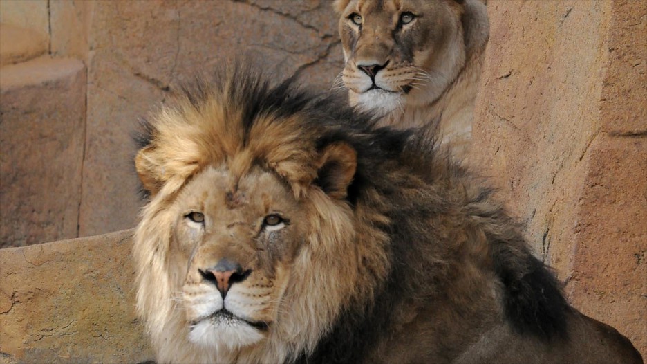 Brookfield Zoo in Chicago, Illinois | Expedia